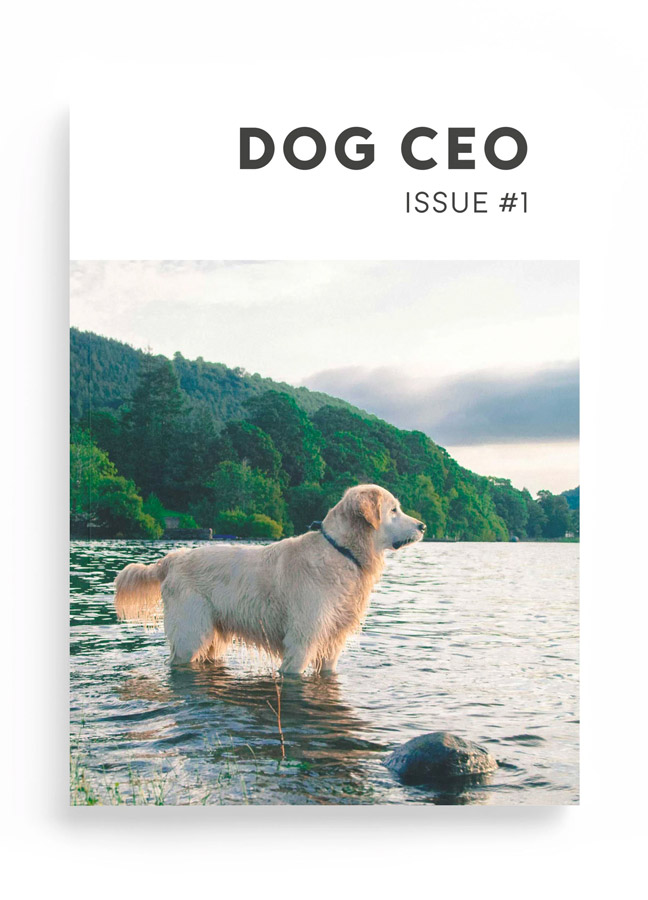 Dog CEO - Good Dog Business